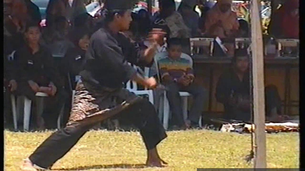 silat sendeng pertunjukkan majlis kahwin muar - YouTube