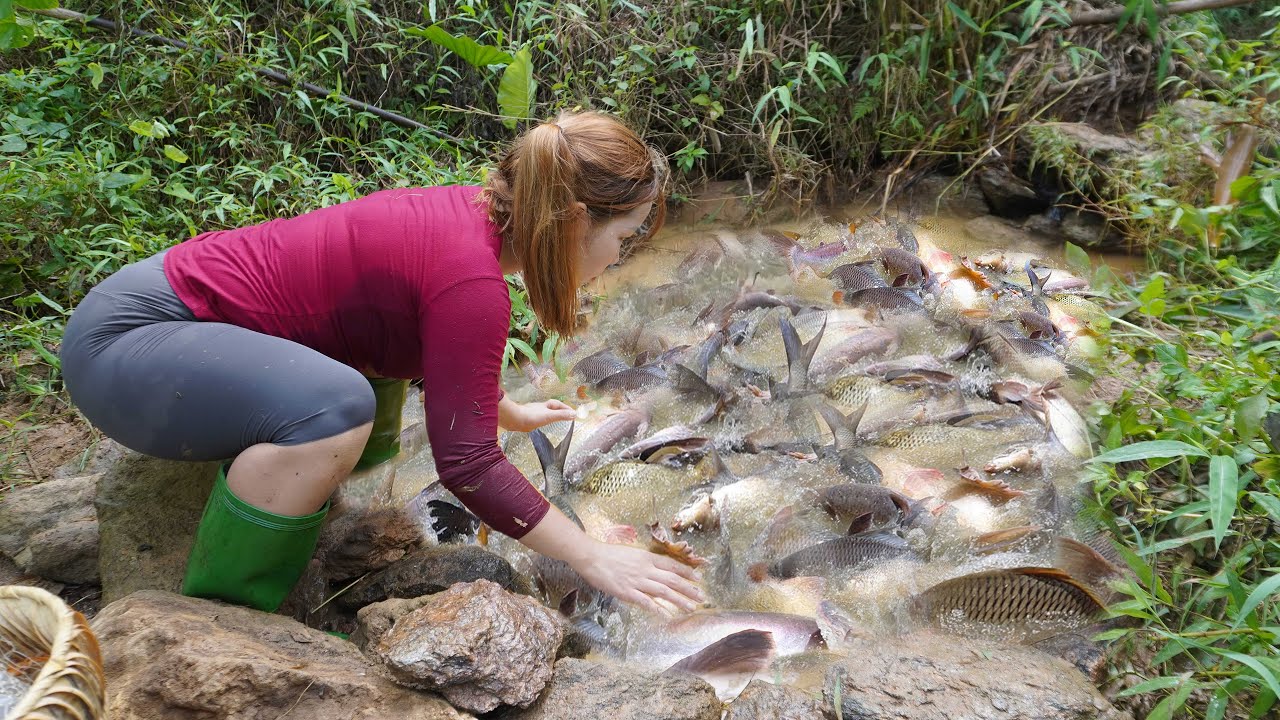 Girl fishing | The girl skillfully blocked the water , catching many ...