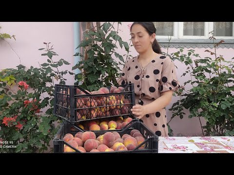 Şaftalı Mürəbbəsi, Şaftalı Cemi və Cemli Tort Hazırladım!