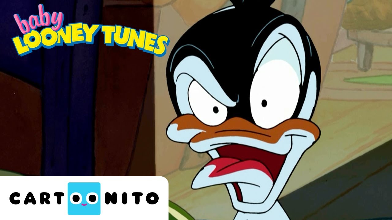 Spooky Ducky | Baby Looney Tunes | @cartoonito - YouTube