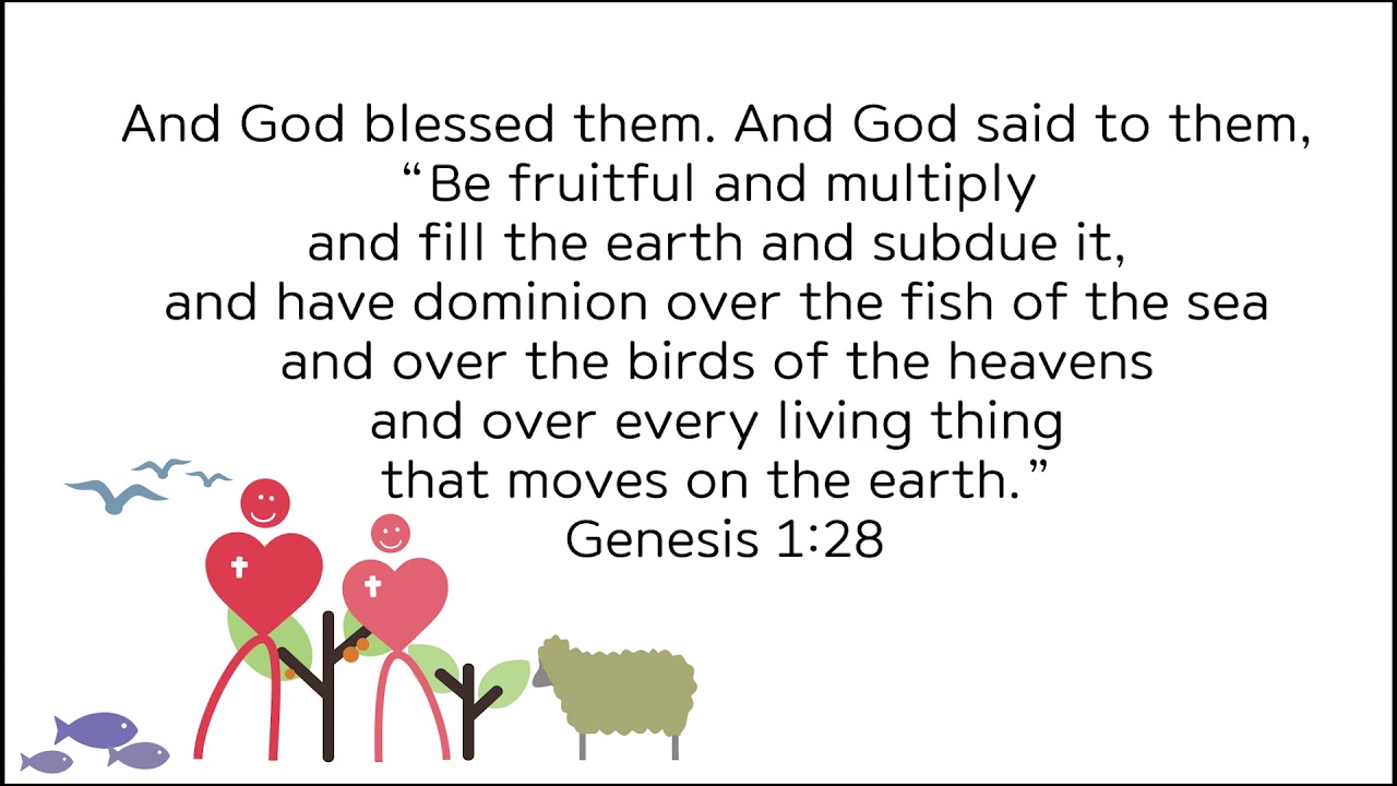 Gospel 100 Bible verses (Genesis 1:27,28) - YouTube