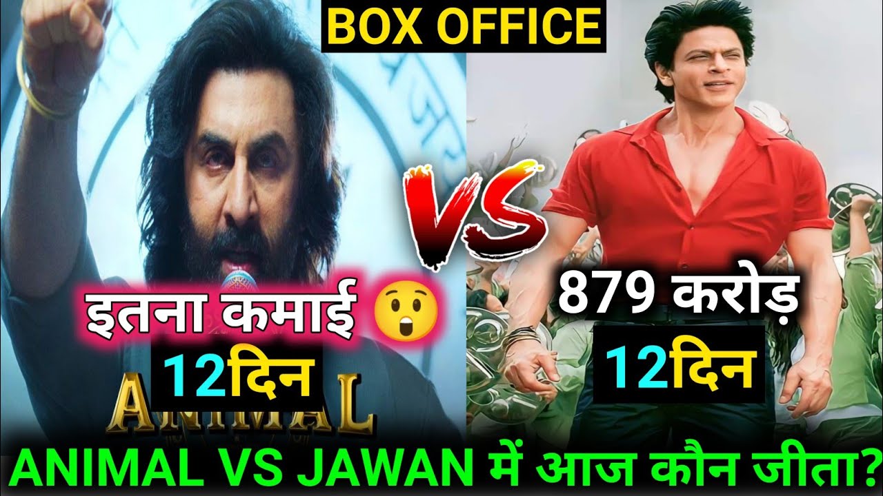 Animal Box Office Collection | Animal Day 11 Box Office Collection ...