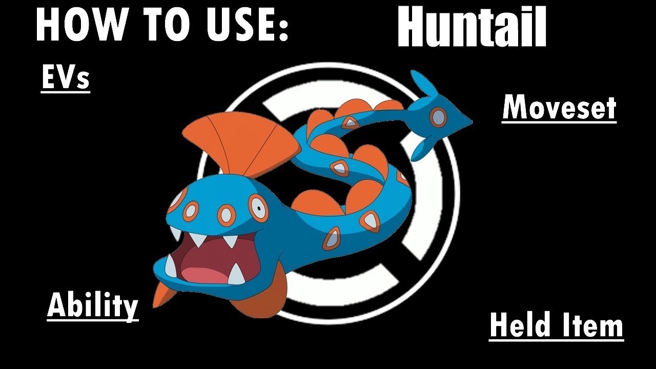 Competitive Guides- How To Use Huntail - YouTube