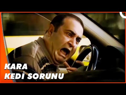 Uğraşma Benim Gibi Aksiyle... | G.D.O Karakedi
