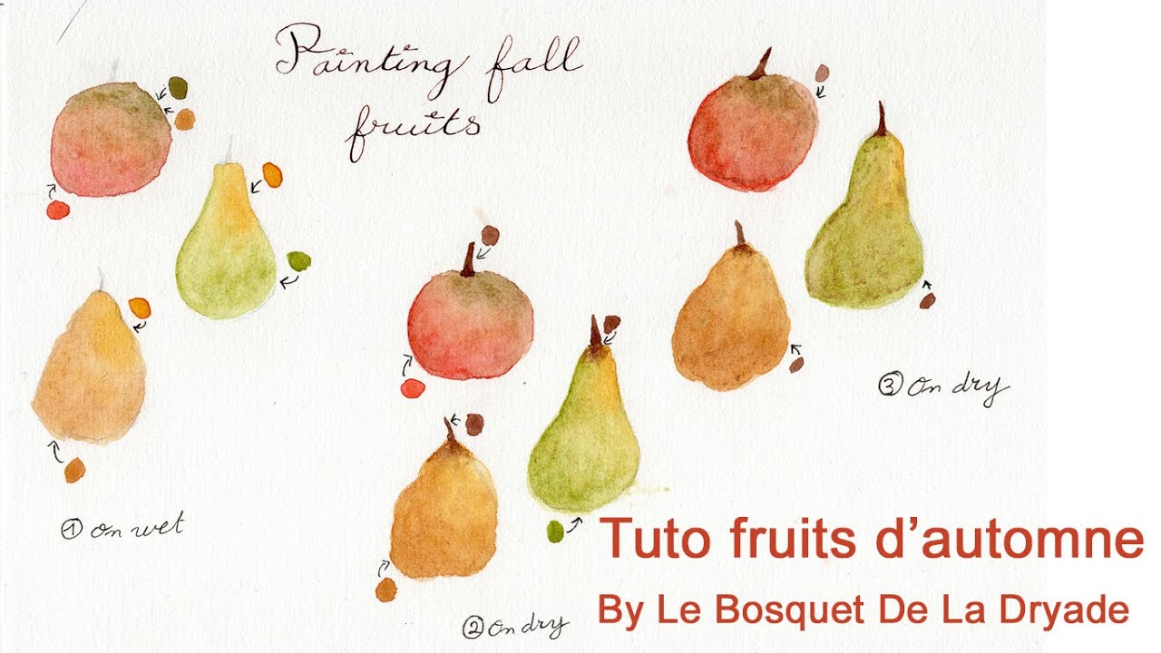 Tuto aquarelle / Fruits d'automne - YouTube