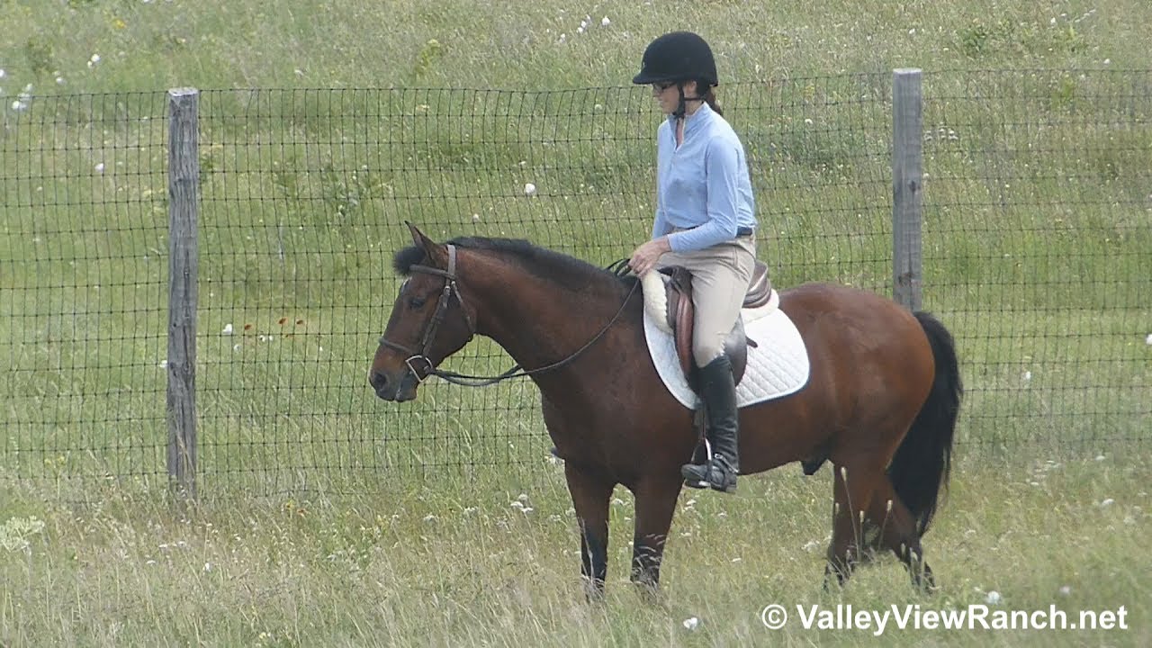 Dash - trail riding - ValleyViewRanch.net - YouTube
