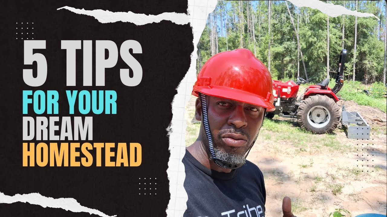 5 tips to help you effectively maintain your homestead - YouTube