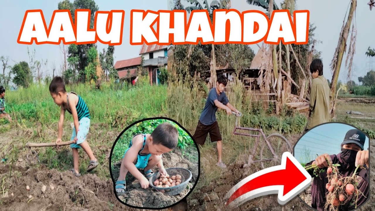Aalu khaniyo hai sathivaiharu@bikramofficialchannel4625 #dailyvlog ...