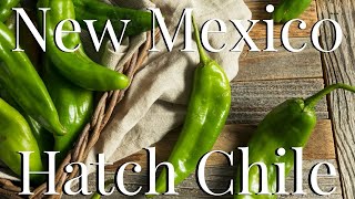 Planting New Mexico Hatch Chiles + Growing Tips
