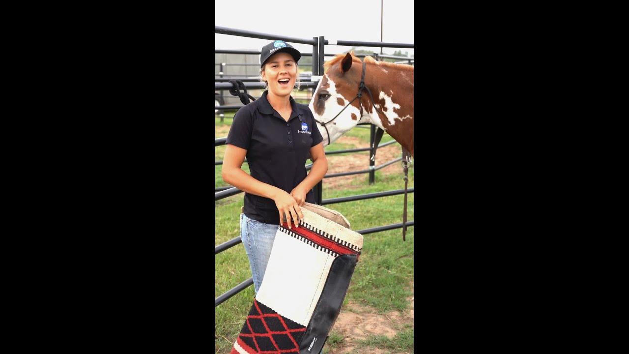 How to Saddle a Horse: A Step-by-Step Guide - YouTube