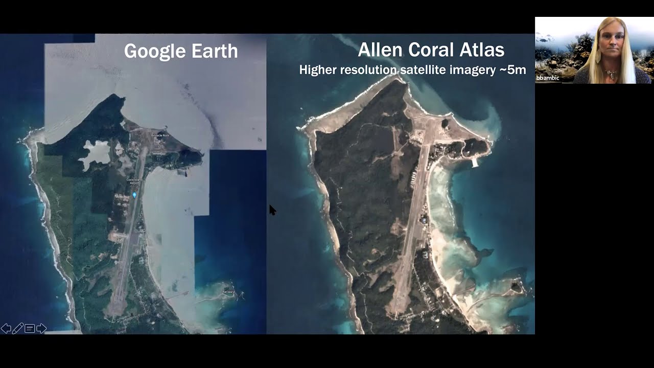 Allen Coral Atlas: a New Tool for Coral Reef Management - YouTube