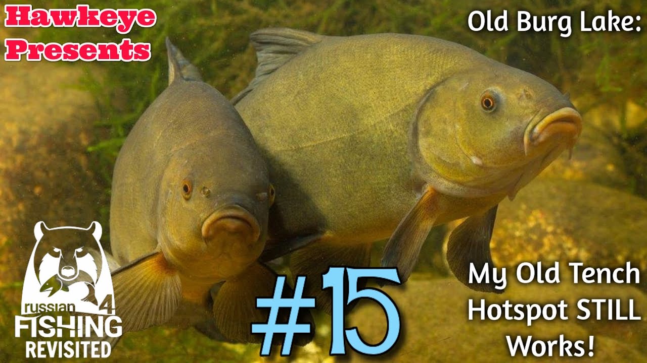 Russian Fishing 4 - REVISITED - #15: Old Burg Lake: My Old Tench ...