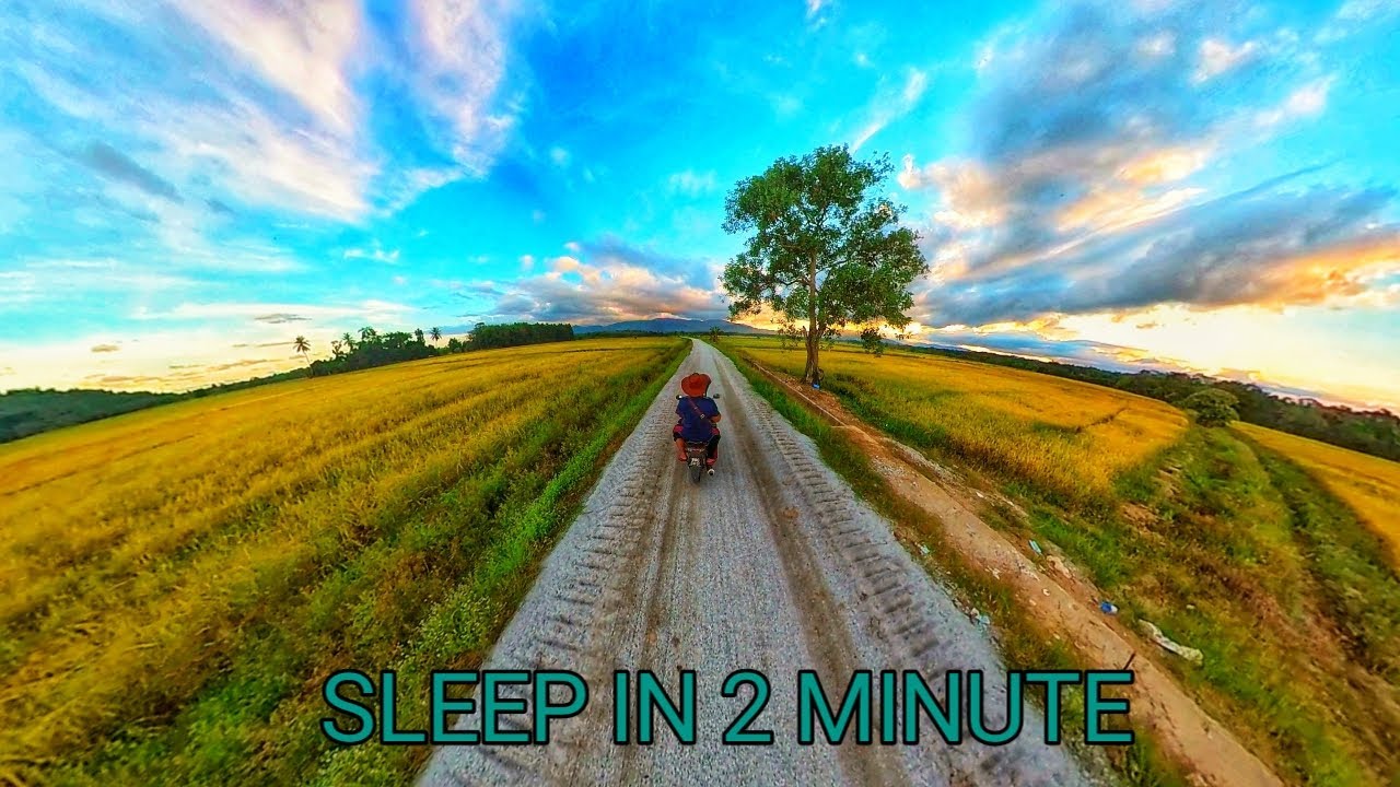 4K Relaxing Sleep Music With Beautiful Sawah Bendang View - YouTube