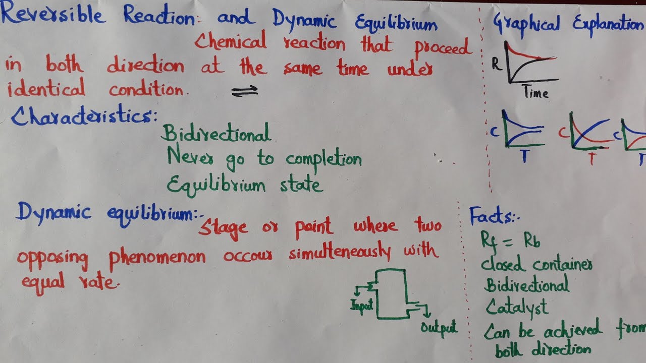 introduction of chemical equilibrium || types of chemical equilibrium ...