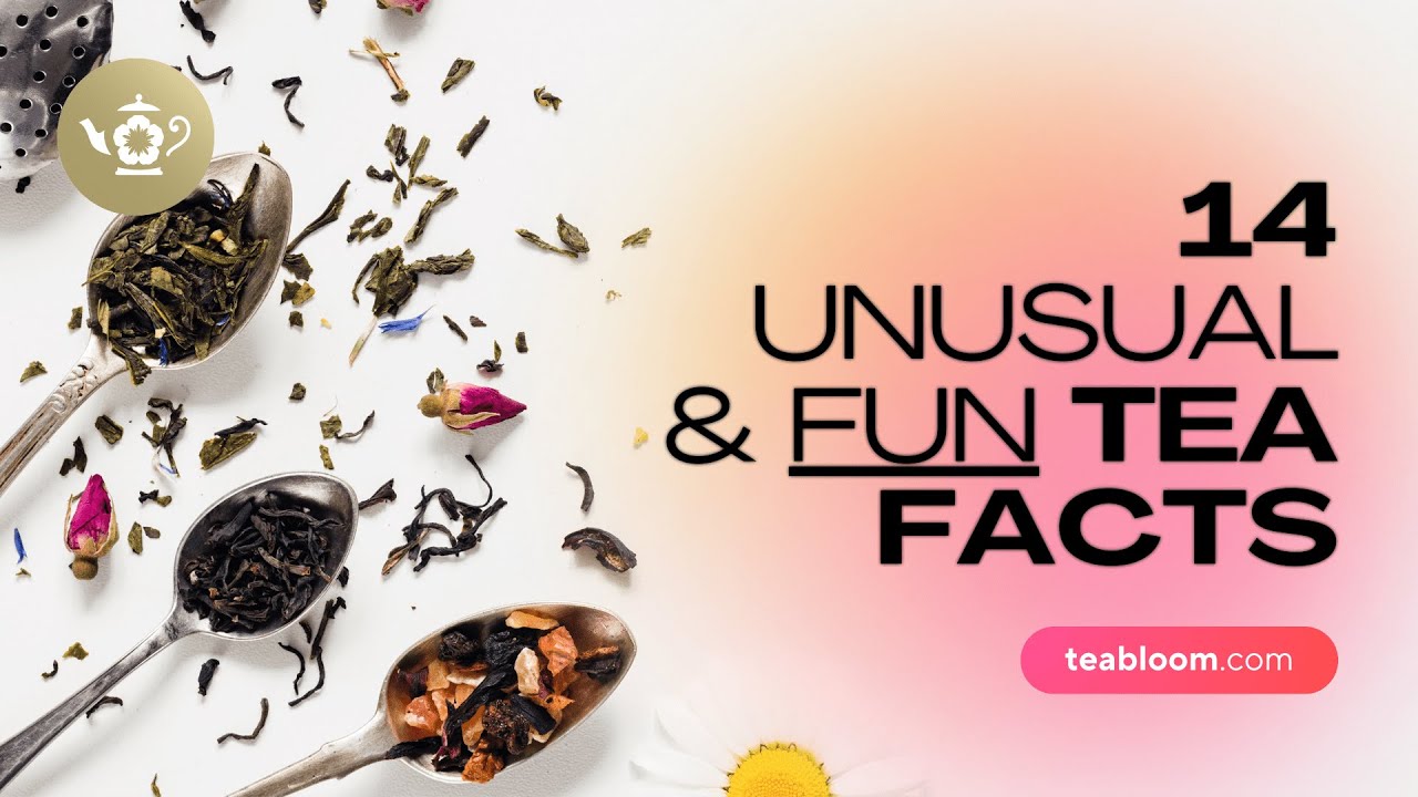 14 Unusual and Fun Tea Facts - YouTube