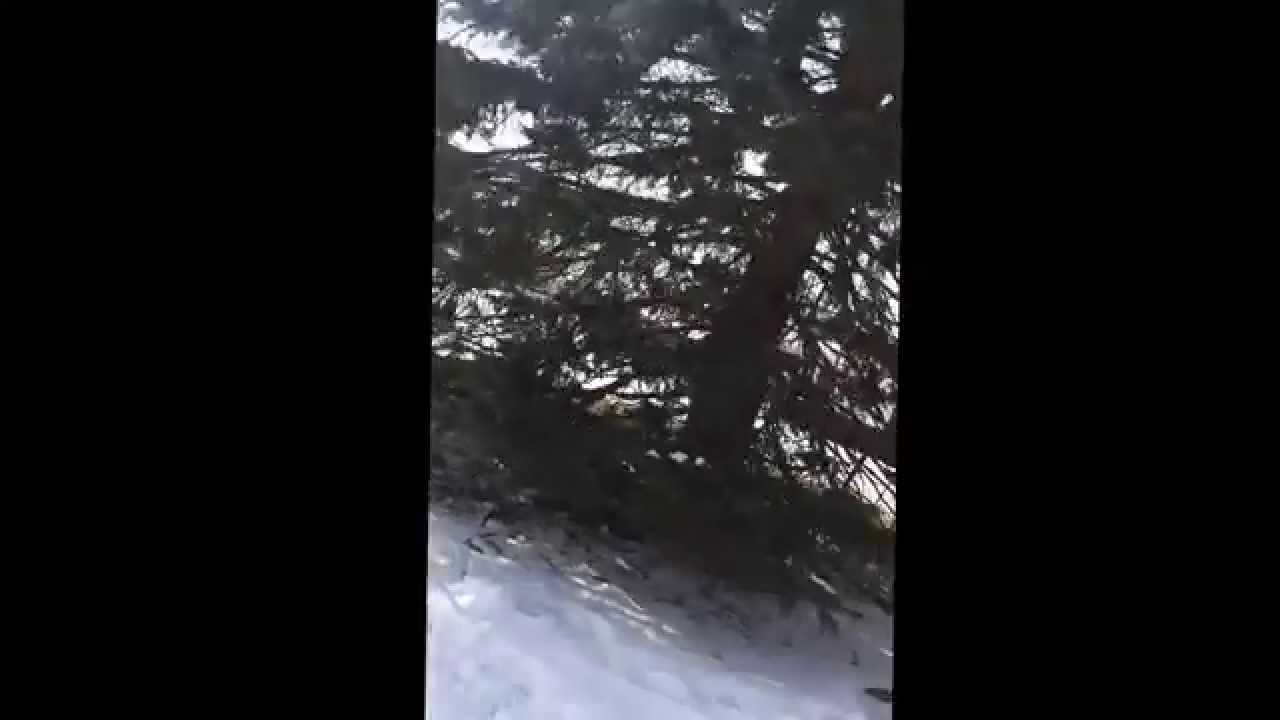 Went sleigh riding with Colin during the winter break I failed and fell ...