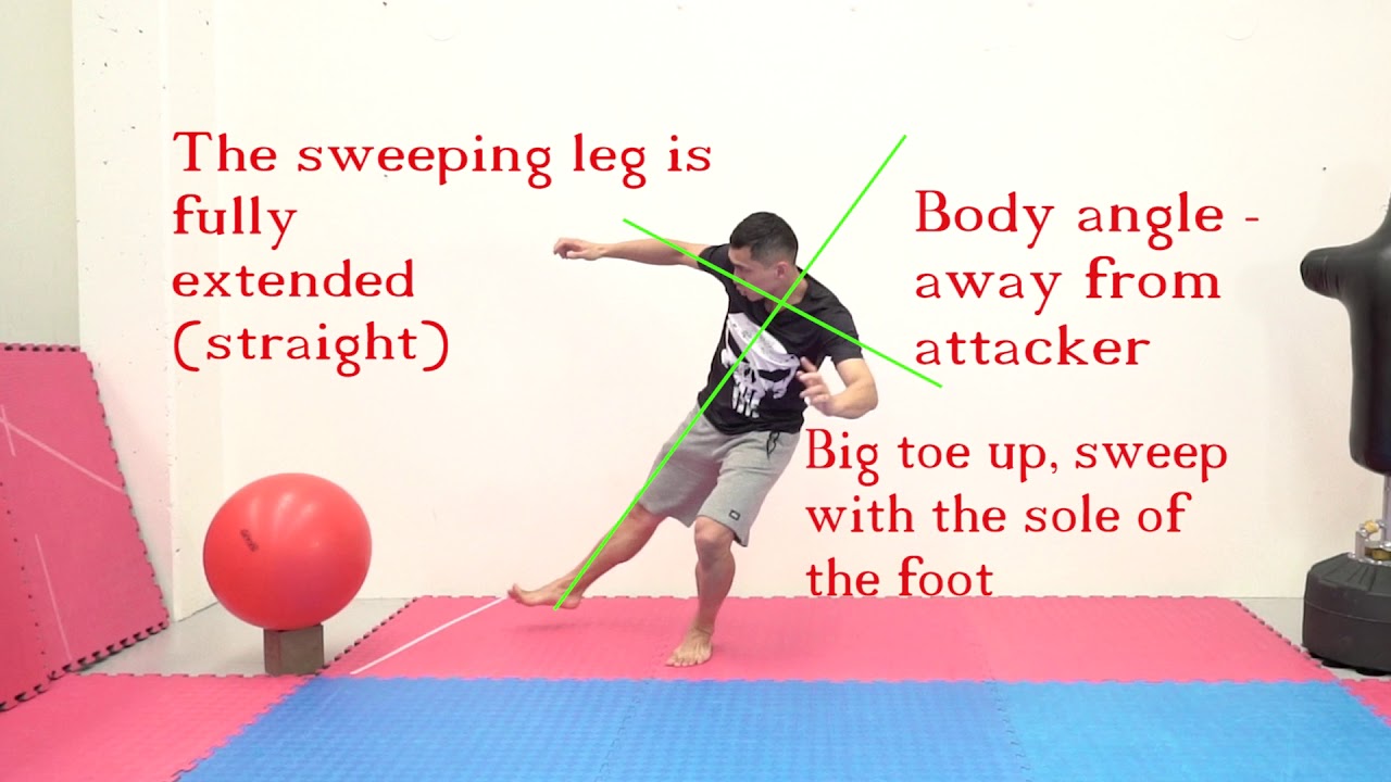 Karate Kickboxing and MMA Sweep Anatomy Demonstrated - YouTube