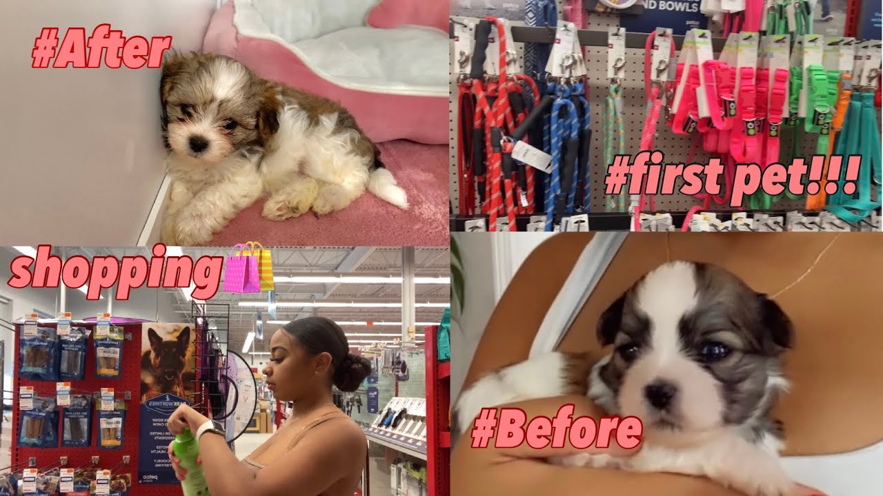 COME WITH ME TO GET A PUPPY FOR THE FIRST TIME!?!?! - YouTube