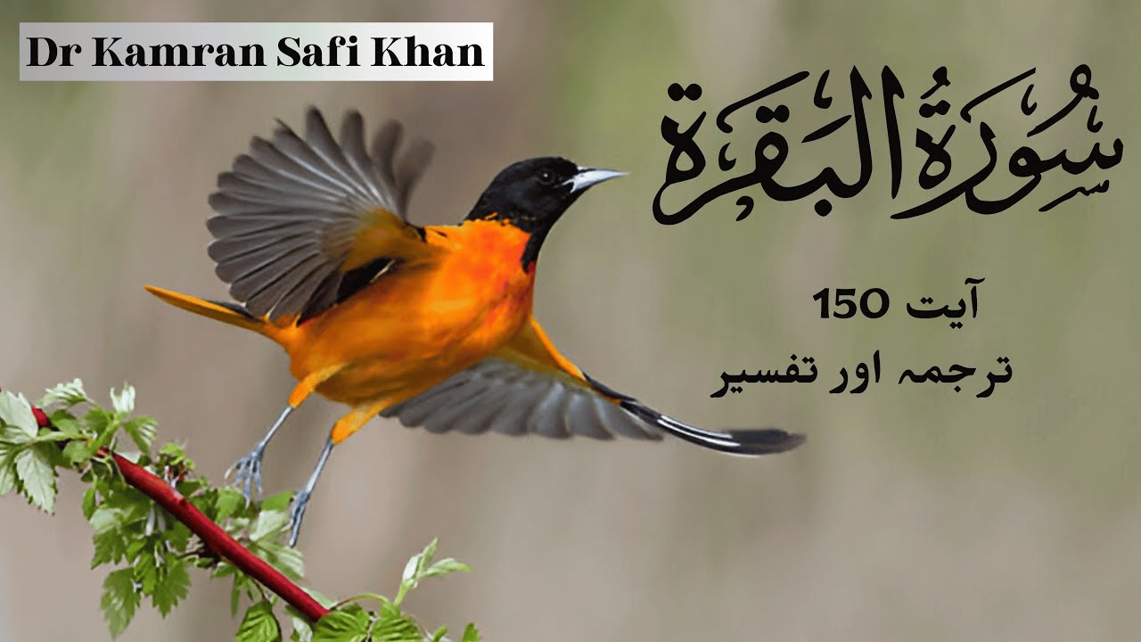Surah al Baqrah Ayat 150 Tarjuma & Tafseer | Bayan ul Quran by DR ...