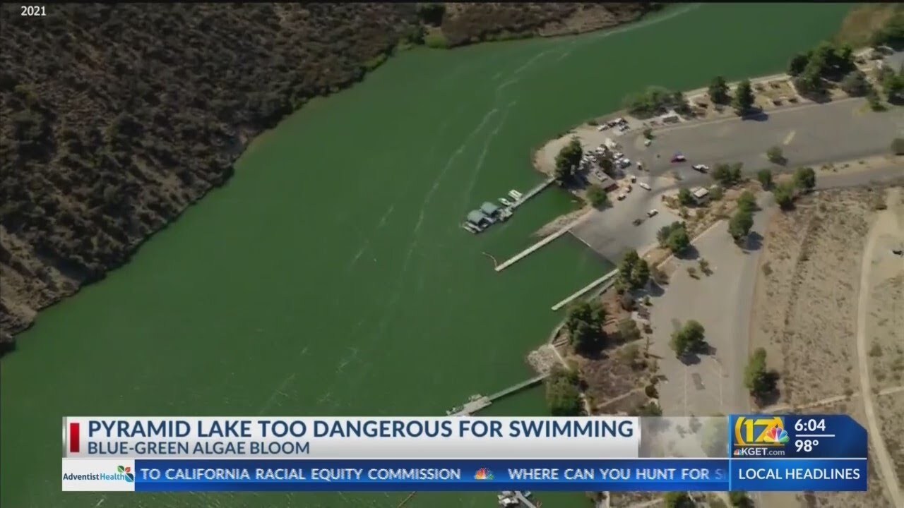 Pyramid Lake too dangerous for swimming - YouTube