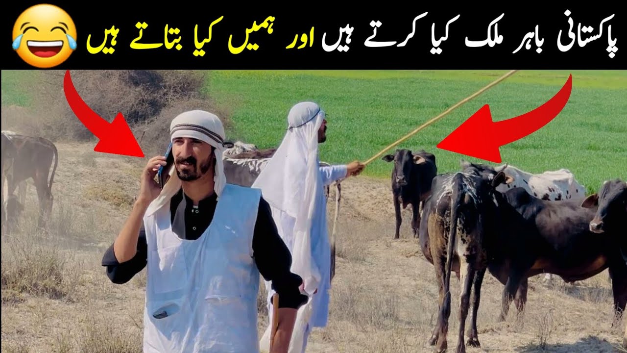 Paistani Bahir K Country Mein Kea Kartay Hain | Pakistani in ot of ...