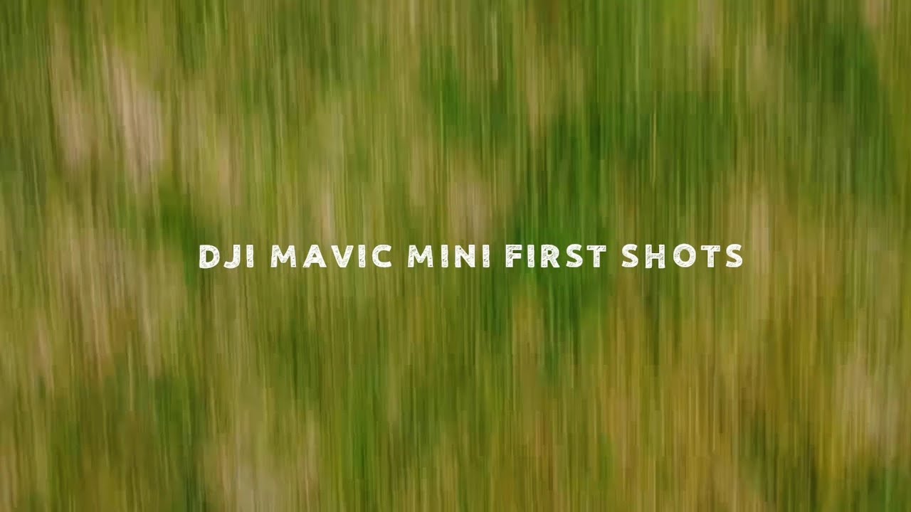 DJI Mavic Mini-First Aerial videography Shots-Mavic Mini 2021-DJI001 ...