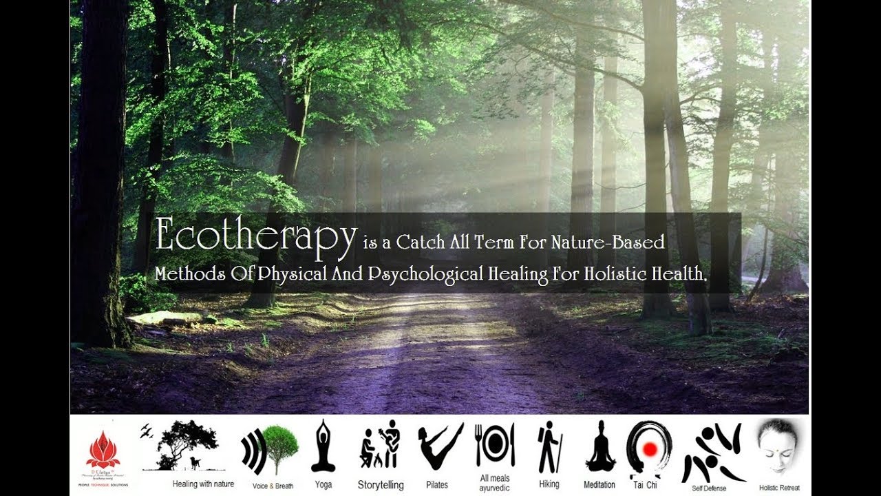 Ecotherapy & Forest Bathing Retreats with neeraj @DElotusforestatbhing ...