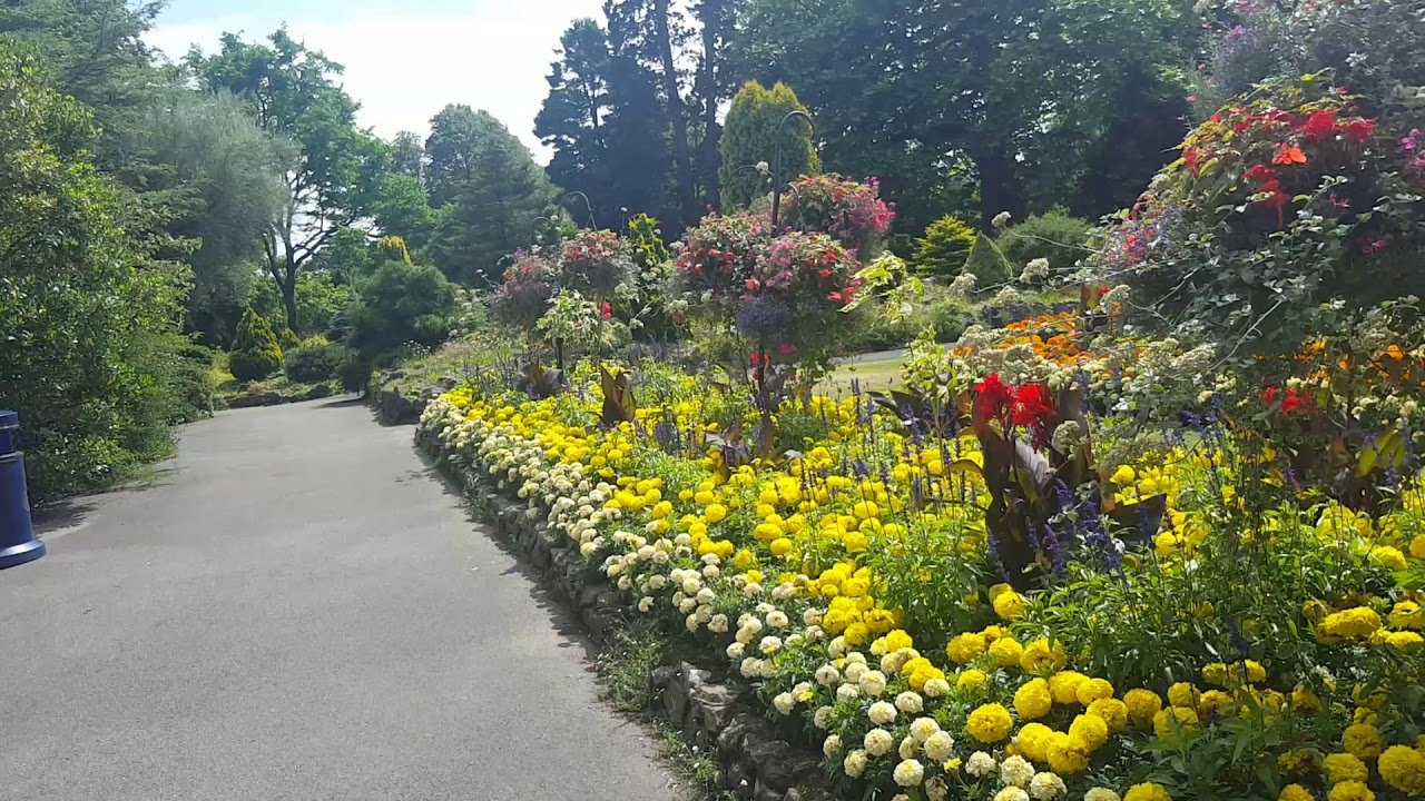 A quick look around singleton park gardens - YouTube