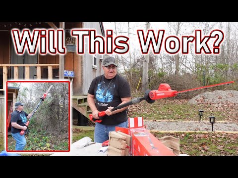 Clearing More Brush Trying the Craftsman 20V Hedge Trimmer on a Pole ...