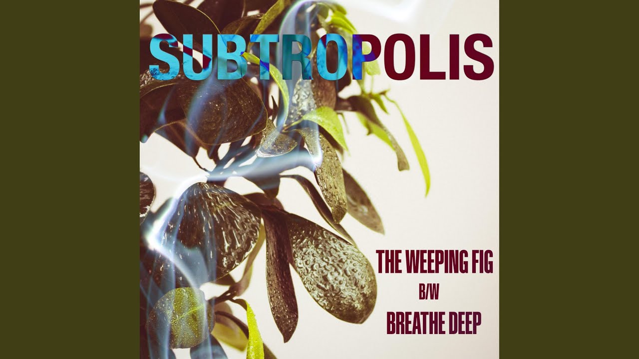 Breathe Deep - YouTube