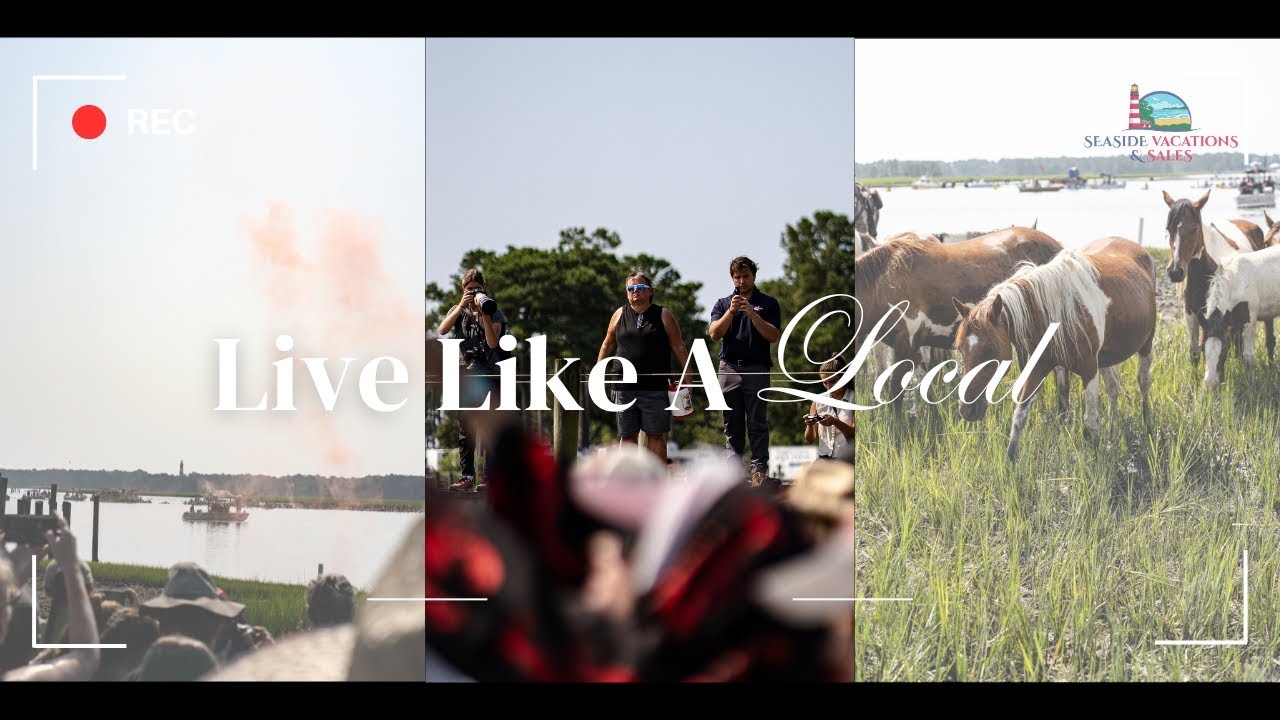 Live Like A Local Episode 2 - Denise Bowden - YouTube