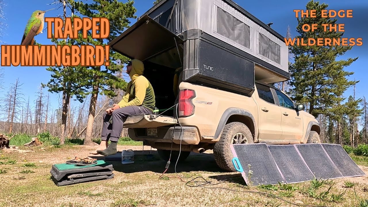 Truck Camping Life - Trapped Hummingbird in the Camper! Plus, Camping ...