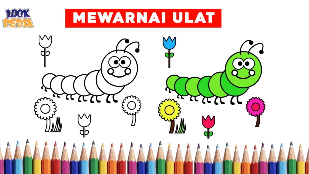 BELAJAR MEWARNAI ULAT | LOOKPEDIA - YouTube