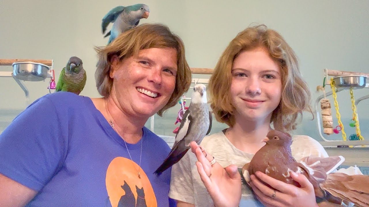 They're All Special, But Today Is Very Special For One Bird! (Bird ...