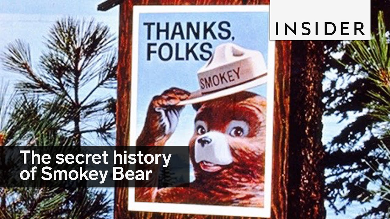 The secret history of Smokey Bear - YouTube