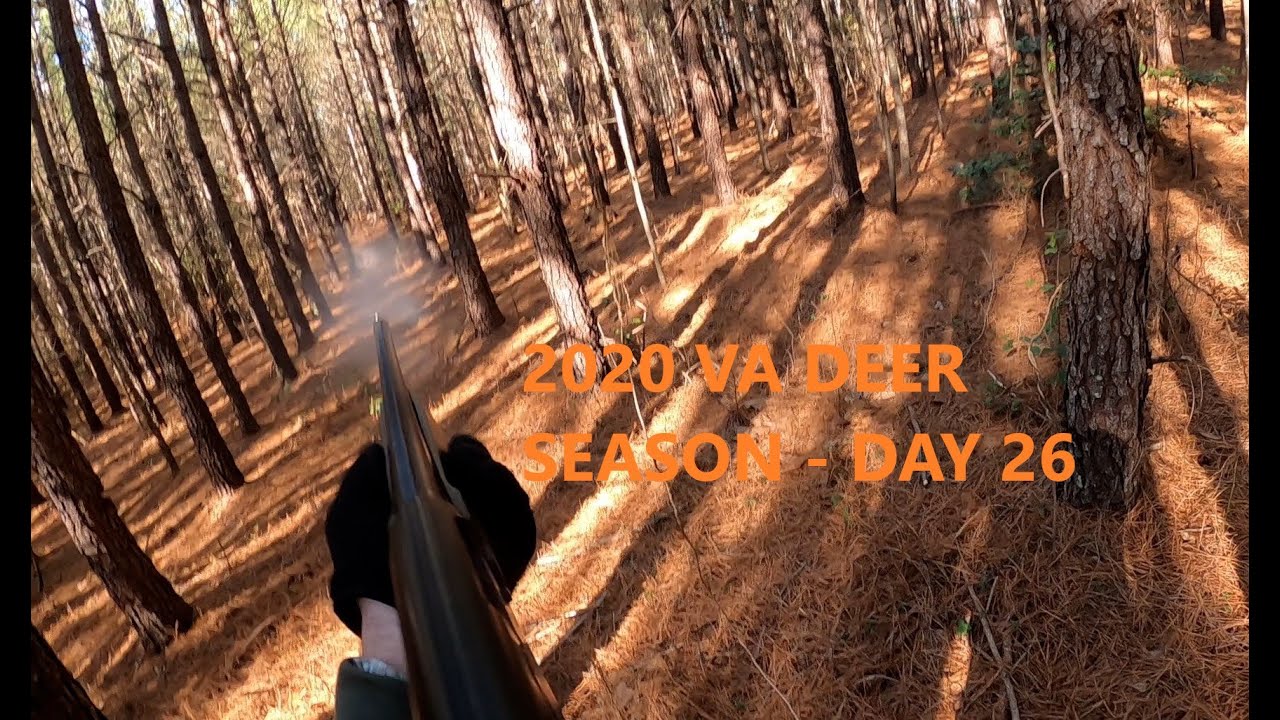 2020 VA DEER SEASON-DAY 26-VA DEER DOG DRIVES-HARD RUNNING HOUND AND ...