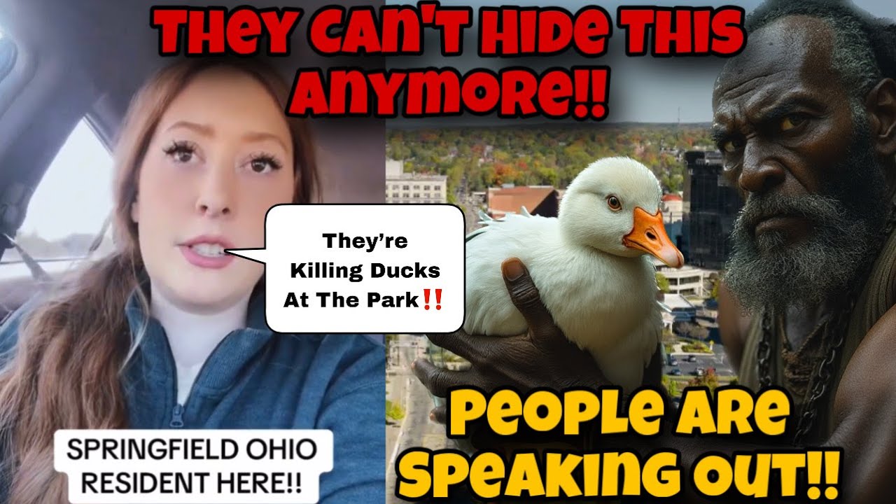 UH OH! Woman CAUGHT Them Eating DUCKS At Springfield Ohio Park GOVERNOR ...