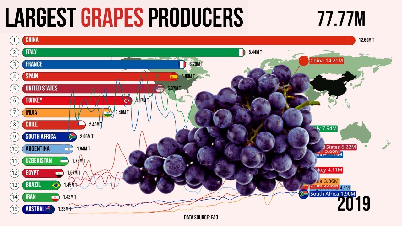 🎬 The Largest Grapes Producers in the world. #grapes - YouTube
