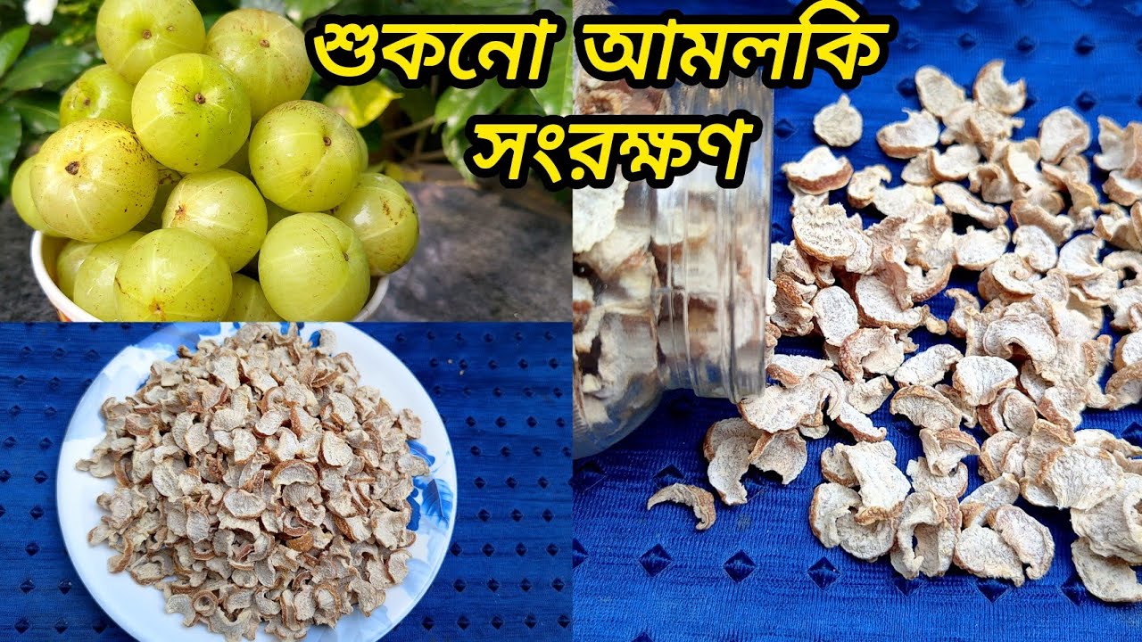 আমলকি শুকিয়ে কিভাবে সংরক্ষণ করে রাখবেন সারা বছর |amloki recipe | dry ...