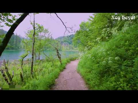 Xoş Həyat / Təbiətin səsi.təbiət mənzərələri. Qəlb rahatlığı