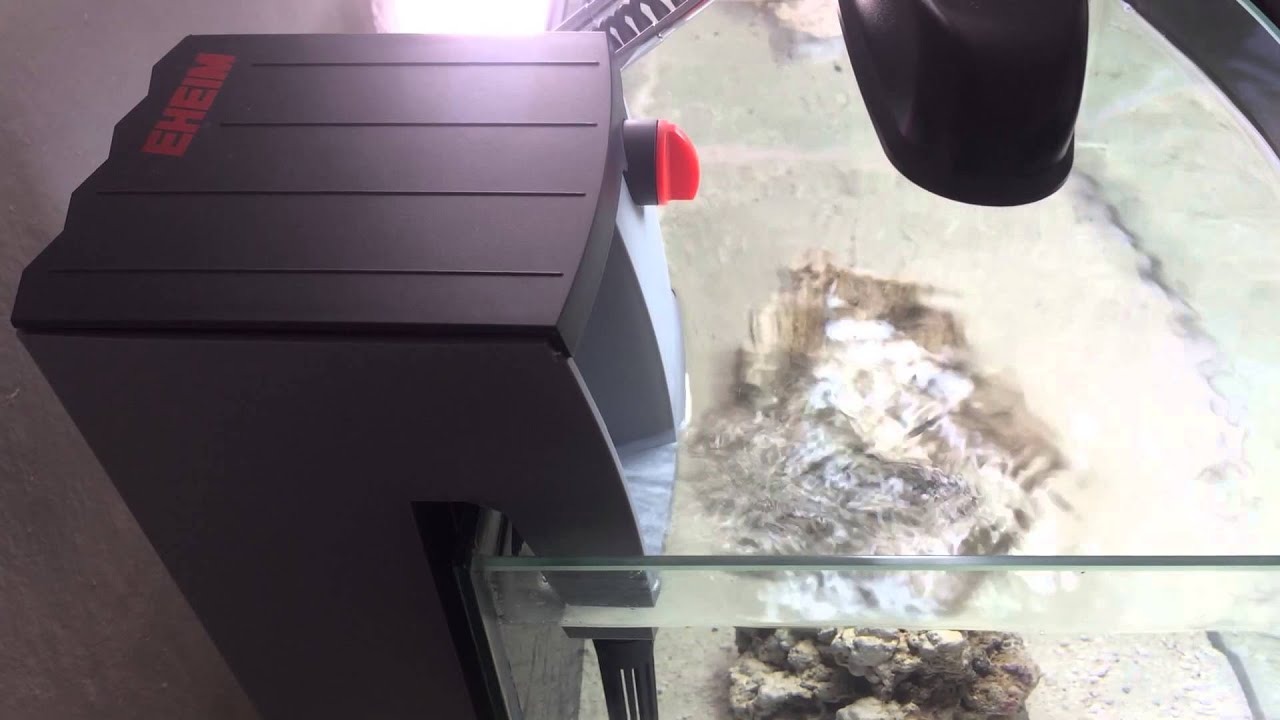 Eheim Liberty 100 (2040) on 3 Gallon JBJ Picotope - YouTube