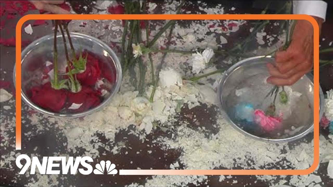 Spangler Science: Freezing flowers with liquid nitrogen - YouTube