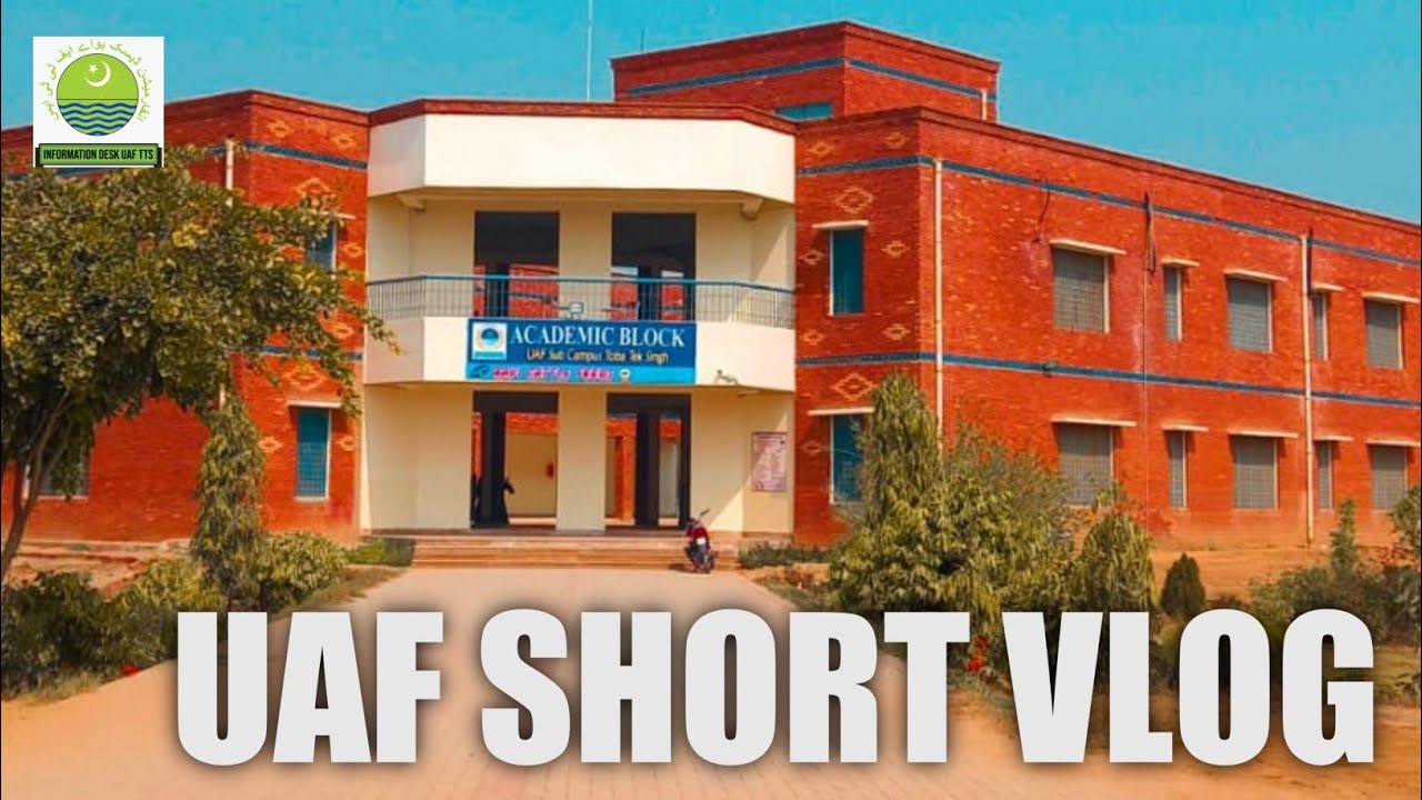 Short Vlog of Agriculture University Faisalabad Sub Campus Toba Tek ...