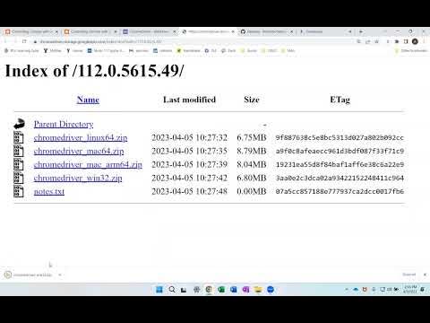 Controlling Chrome with Selenium and VBA - YouTube