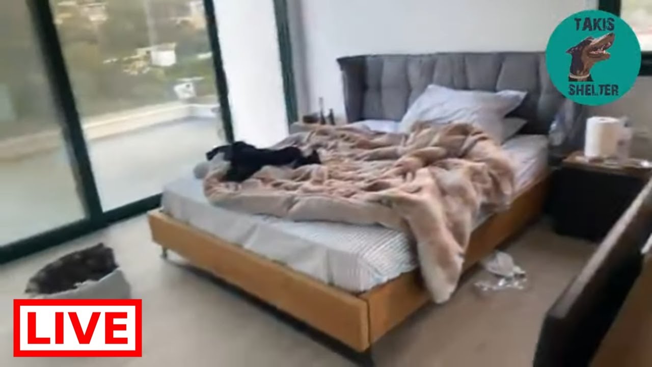 Let me give you a tour of the house - Takis shelter - YouTube