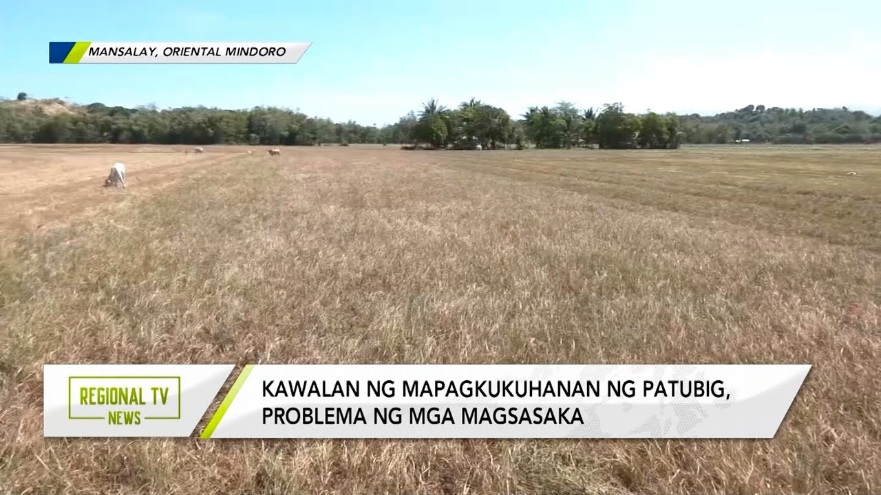 Regional TV News: Mahigit 3,000 ektarya ng sakahan sa Oriental Mindoro ...