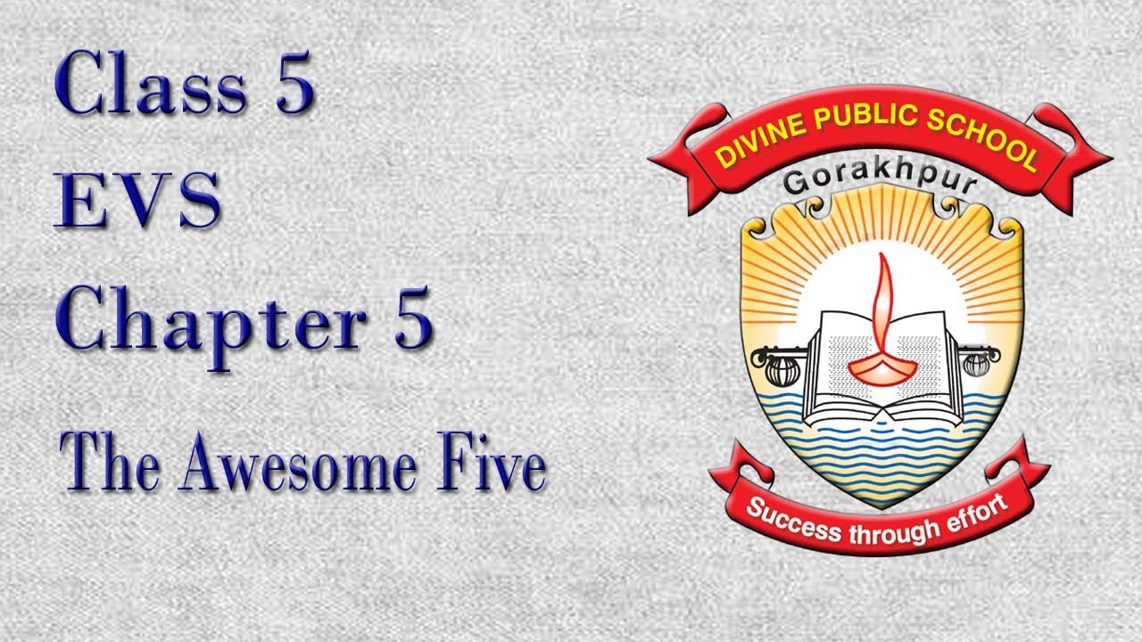 Class 5 EVS Chapter 5 The Awesome Five YouTube class-5-evs-chapter-5-the-awesome-five-youtube