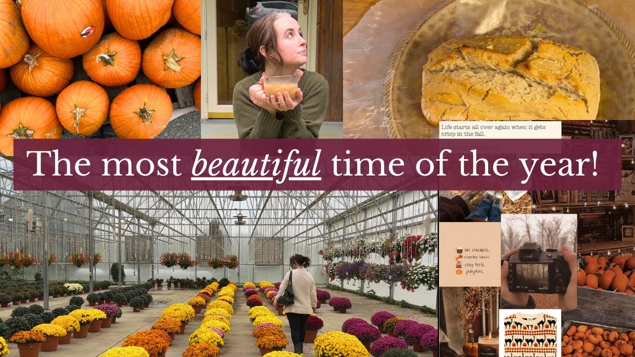 The beauty of fall | creating a fall mood board, baking bread, going to ...
