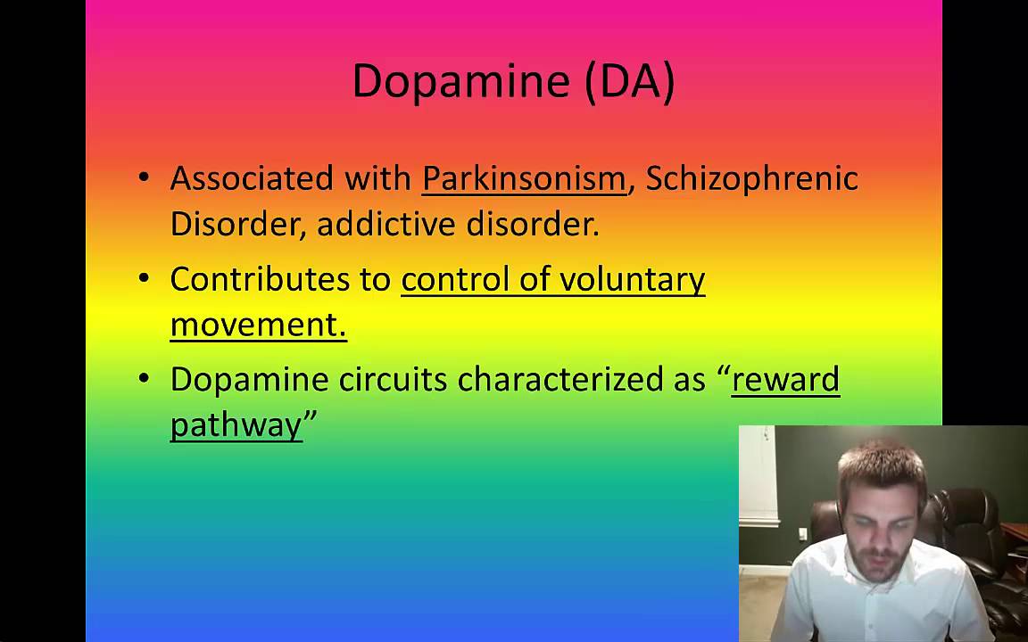AP Psychology - Unit 2 - Neurotransmitters - YouTube