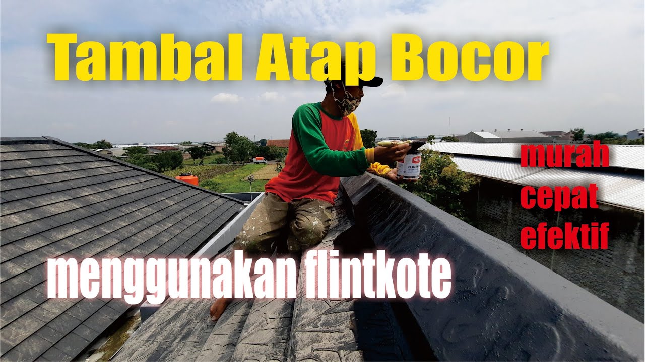 Cara Memperbaiki Atap Bocor Menggunakan Plinkote - Mudah, Murah dan ...
